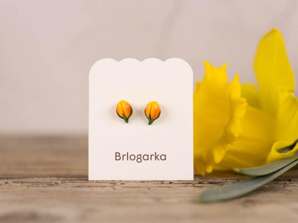 Trgovina - Brlogarka